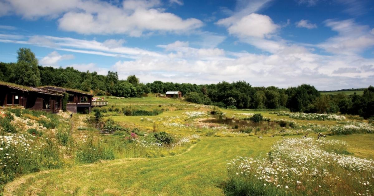 WWT Washington Wetland Centre - MySunderland