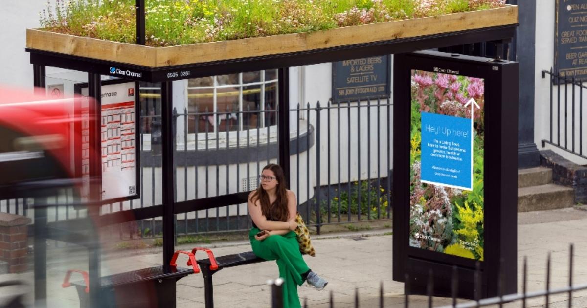 Living Roof Bus Shelters are looking blooming lovely - MySunderland