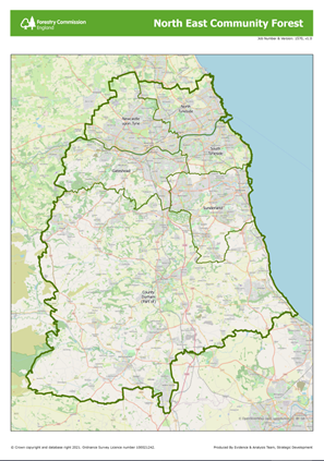 Increasing the tree canopy cover in Sunderland - MySunderland